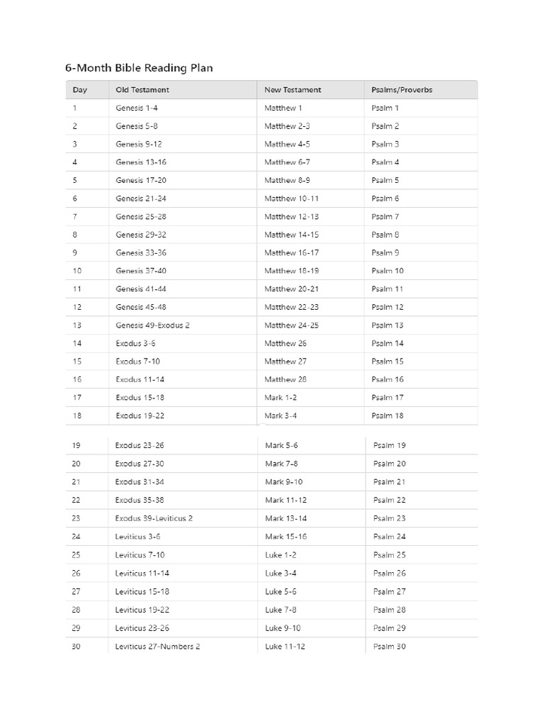 Bible Reading Plan in 6 Months | PDF
