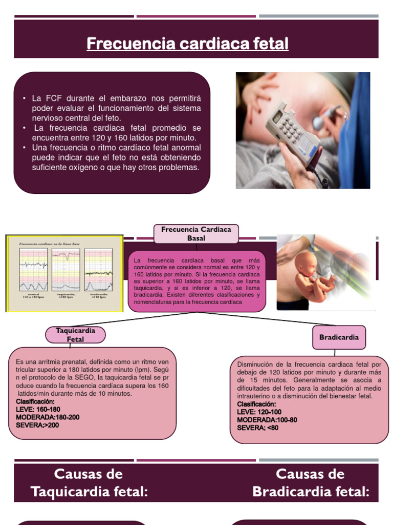 Frecuencia Cardiaca Fetal | PDF | Feto | El embarazo
