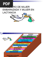 Instructivo de Llenado de La Tarjeta de Control de Embarazo, Puerperio ...