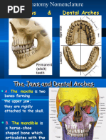 Teeth Numbering System | PDF | Dentistry | Dental Anatomy