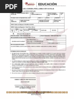 Formato Declaracion - Individual - Accidente - Escolar | PDF | Hospital