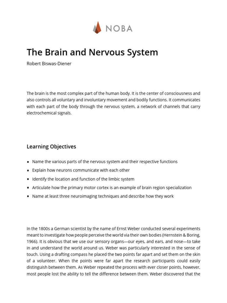 The Brain and Nervous System | PDF | Neuron | Nervous System