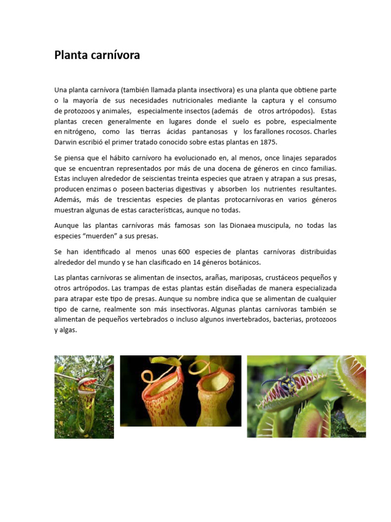 Planta Carnívora | PDF | Tecnología