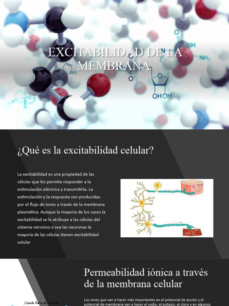 fisiologia excitabilidad de membrana | Descargar gratis PDF | Potencial ...