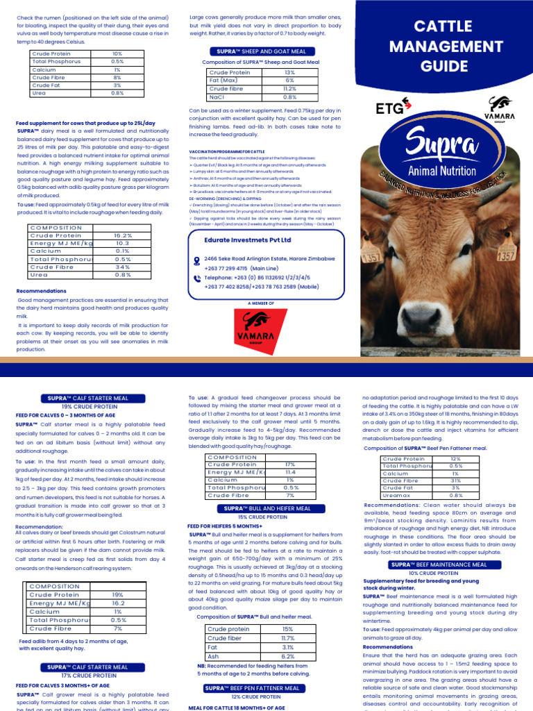 CATTLE BROCHURE | Download Free PDF | Cattle | Dairy Cattle