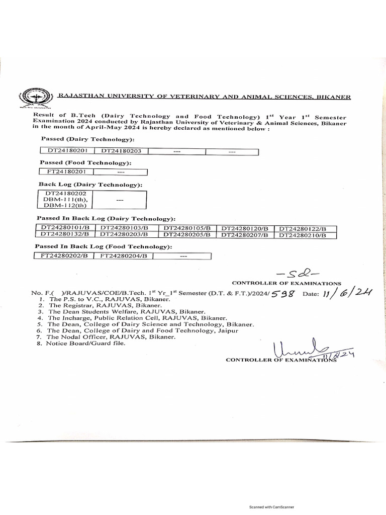 Result B.Tech 1st Yr 1st Semester 2024 | PDF