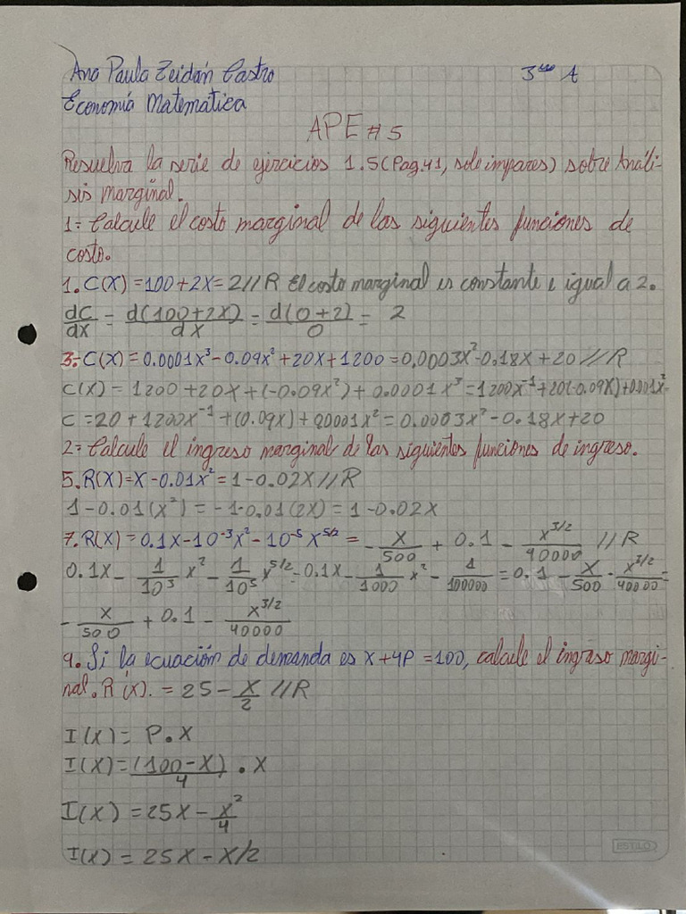 APE#5 Zeidán Ana Economía Mate | PDF