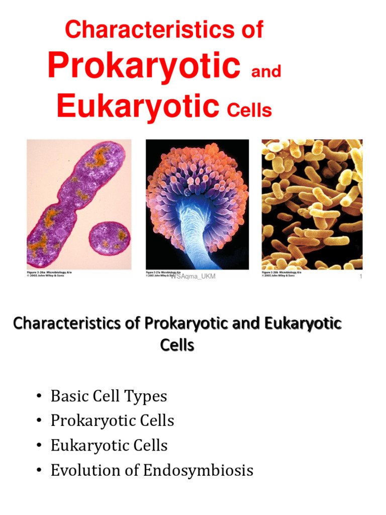 3 - Characteristics of Prokaryotic Eukaryotic Cells - STUDENT COPY 2 ...
