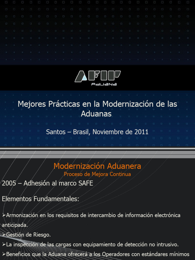 Aduana AFIP | PDF | aduana | Logística