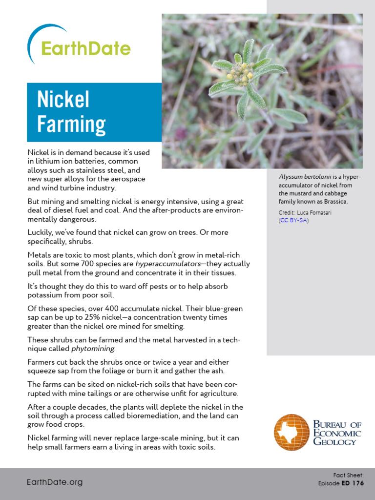 ED 176 - Nickel Farming - Final C | PDF | Nickel | Metals