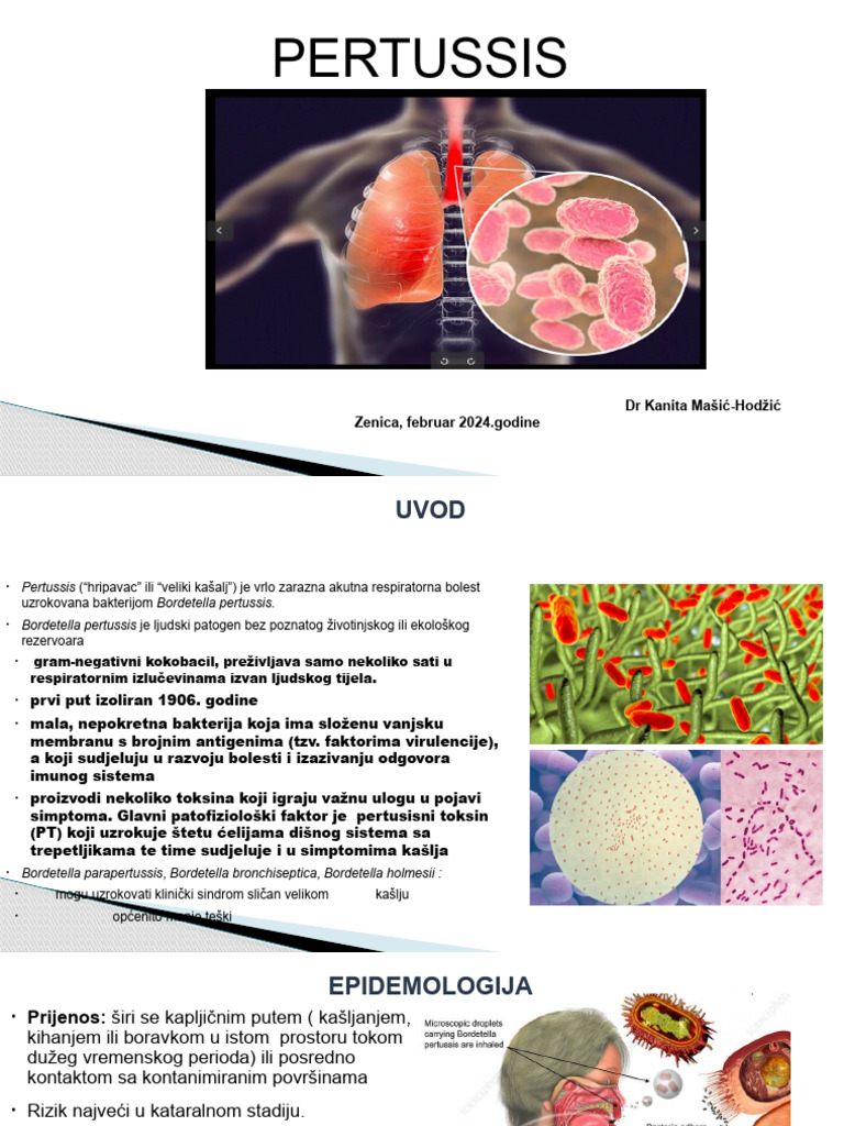 Pertussis | PDF