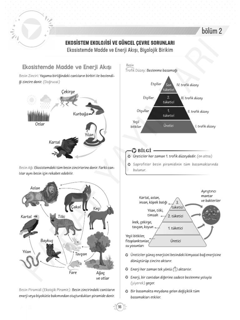 Ekosistem Ekolojisi Biosem Paraf Pdf