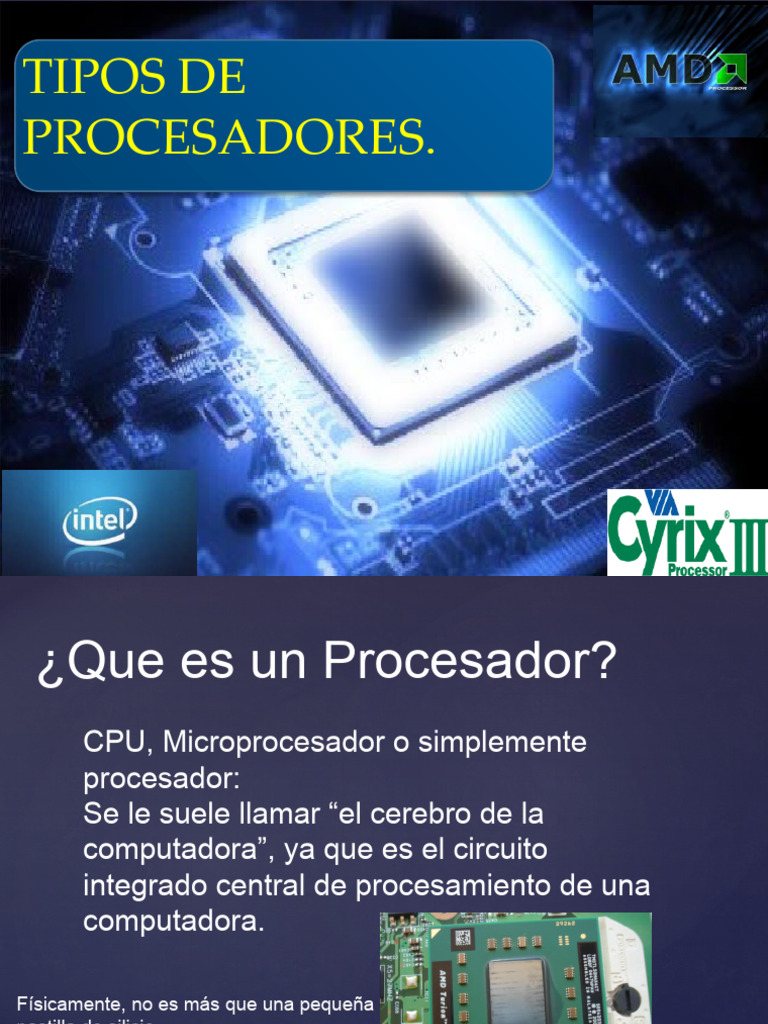 Guía Básica de Procesadores | PDF | Microprocesador | Unidad Central de procesamiento