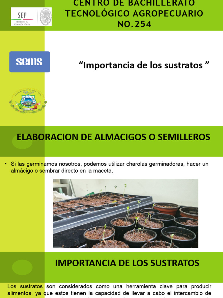 Presentación de Sustratos | PDF | Compost | Agricultura