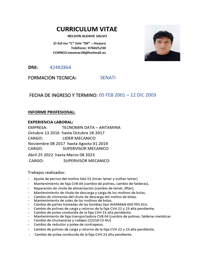 CV Nelson Aldave 2023 | PDF