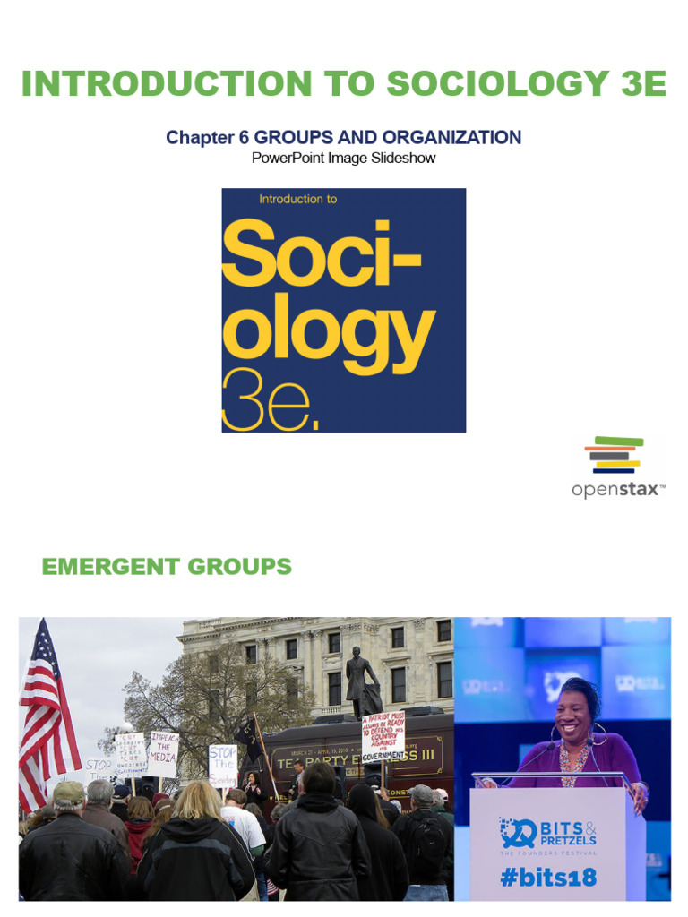 IntroductiontoSociology3e Ch06 | PDF | Conformity | Leadership
