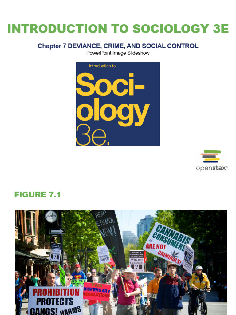 IntroductiontoSociology3e Ch07 | PDF | Deviance (Sociology) | Crimes