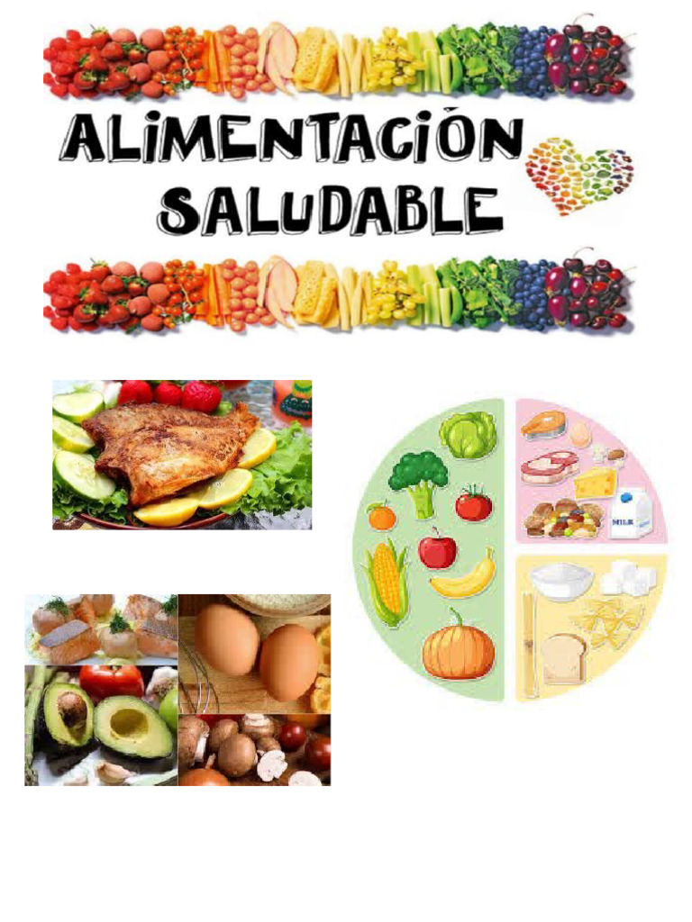 Alimentacion Saludable | PDF