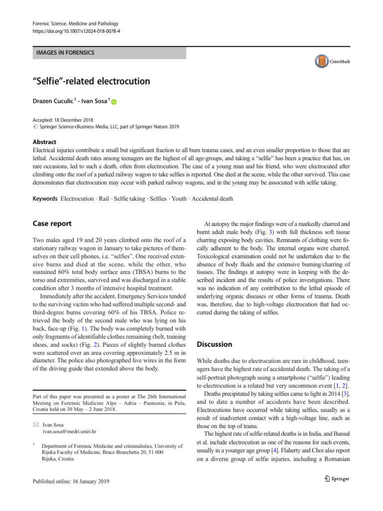Cuculic 2019 | PDF | High Voltage | Selfie