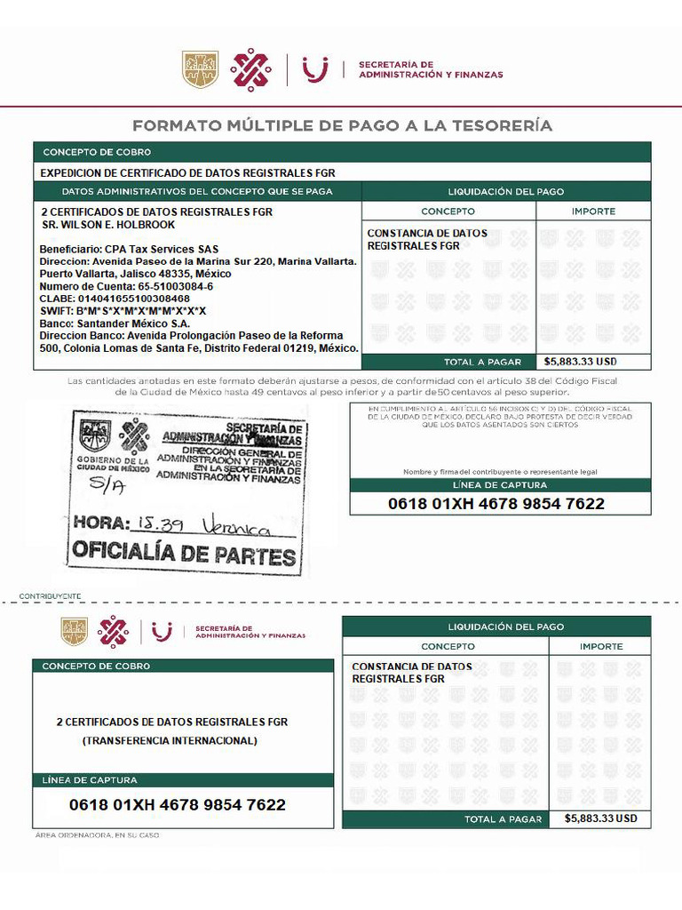 Formato Multiple de Pago Tesoreria FGR CDMX MR & Mrs Holbrook | PDF