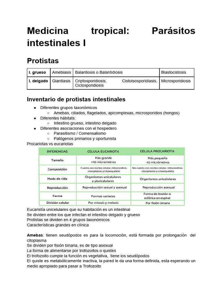 1. Parasitosis Intestinales 1: Protozoos intestinales | PDF | Biología ...