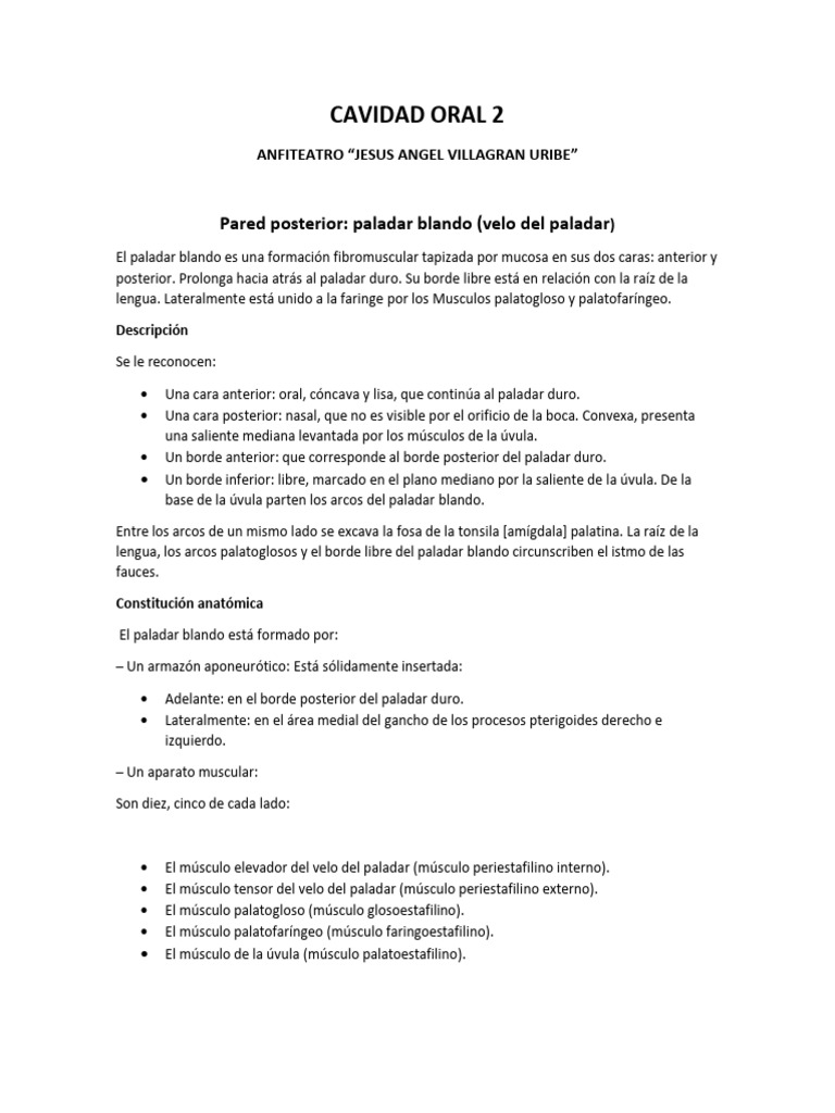 Cavidad Oral 2 | PDF | Lengua | Cabeza y cuello humanos
