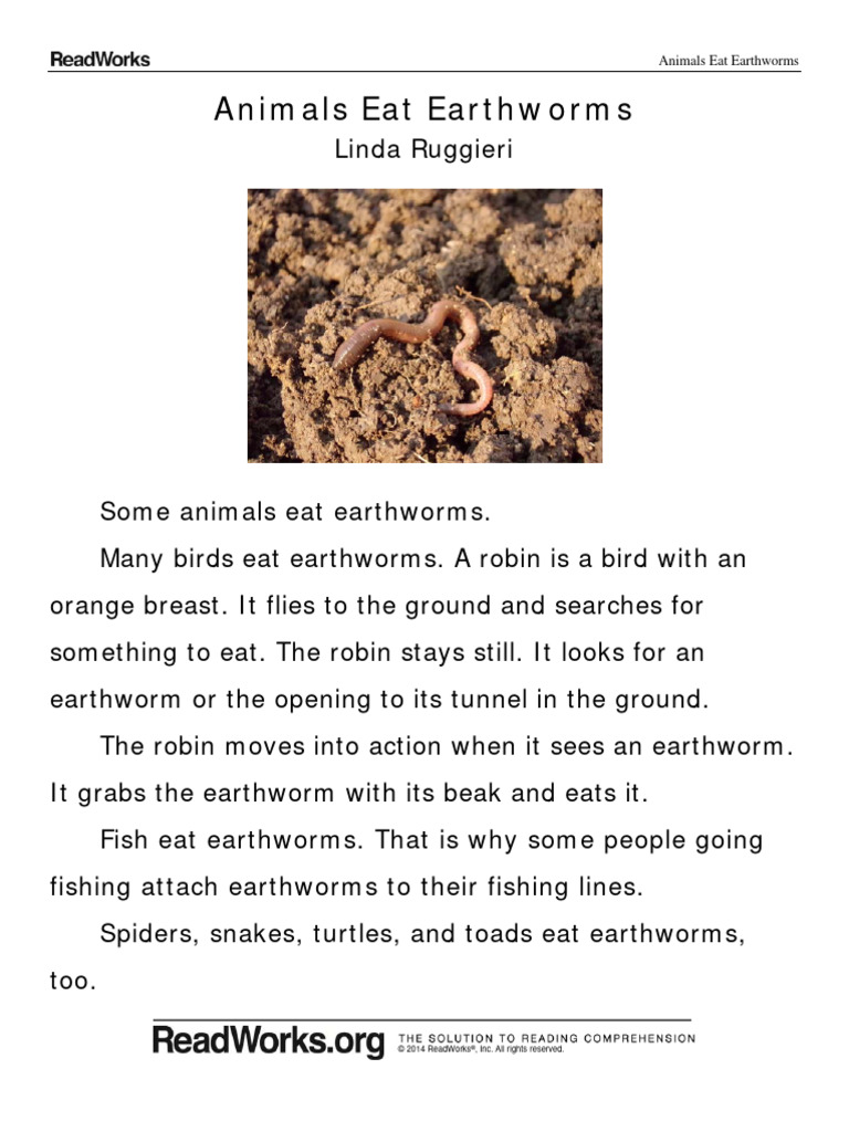 Animals Eat Earthworms 650 Passage and Questions | PDF