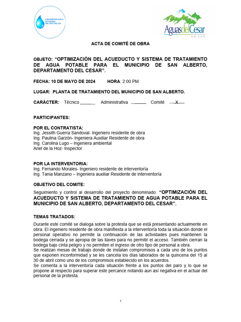 Acta de Comite | PDF