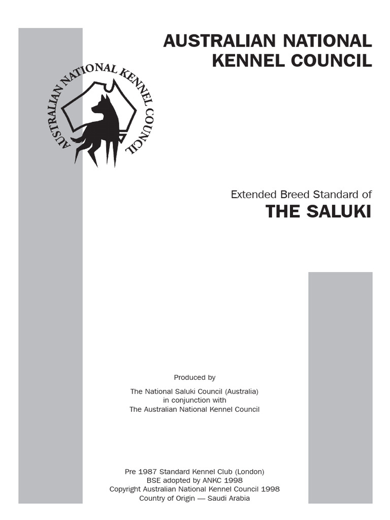 234154Saluki_BSE Expanded Std | PDF | Horse Gait | Dog Breeds