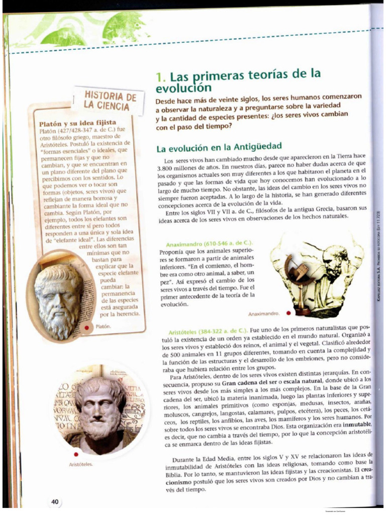 Teoria de La Evolucion 1-1 | PDF