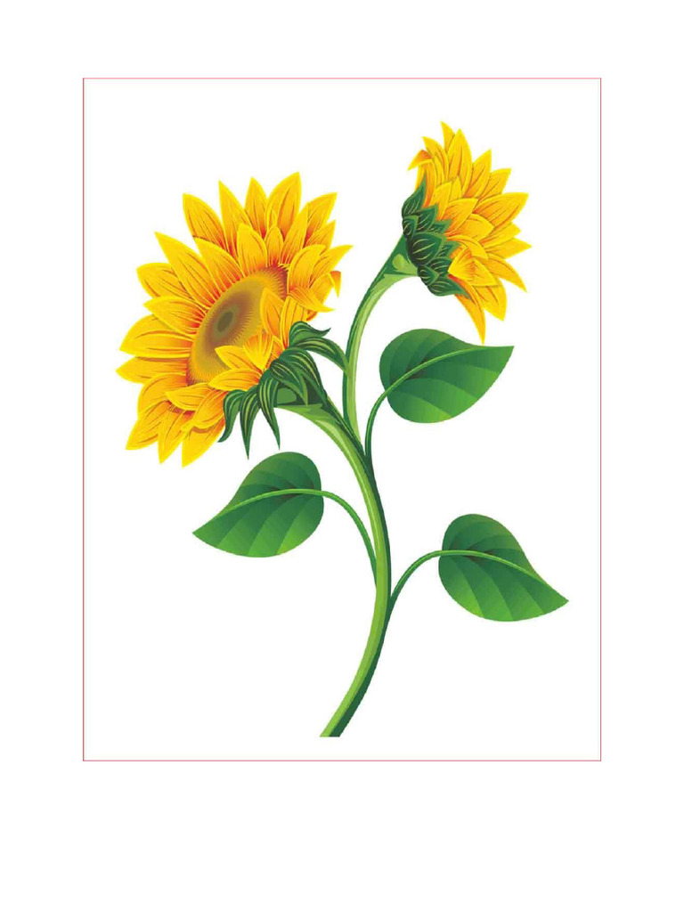 Bunga Matahari | PDF