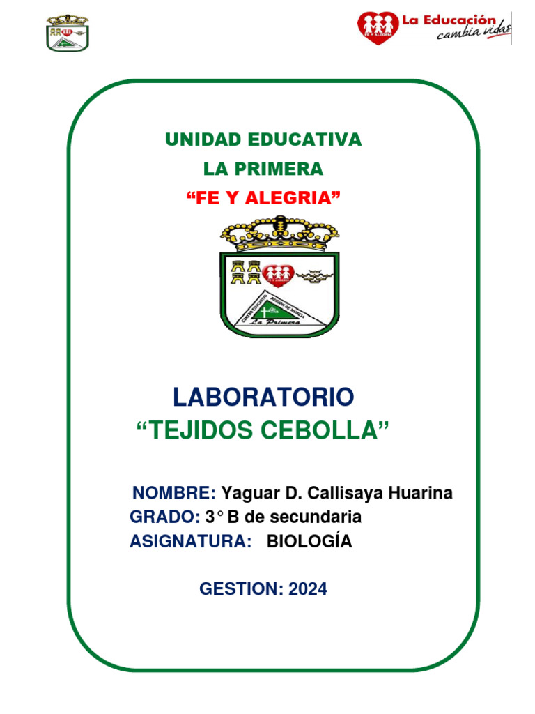 Lab - Cat Cebolla | PDF | Plantas | Cebolla