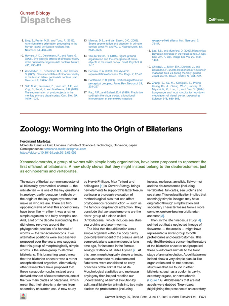 Zoology - Worming Into The Origin of Bilaterians | PDF | Biology