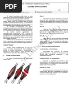 British Athletics Muscle Injury Classification em Português | PDF ...