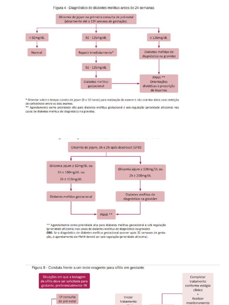 Protocolos Pré-Natal PBH | PDF