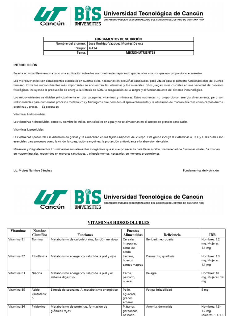 Actividad. Tabla Micronutrientes Terminada Rodrigo | PDF | Vitamina ...