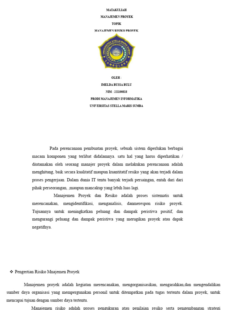 Ujian Take Home Imelda Bussa Bulu, Manajemen Risiko Proyek | PDF