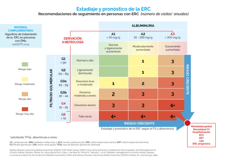 Estadiaje y Pronóstico de La ERC - RedGDPS - 2024 | PDF