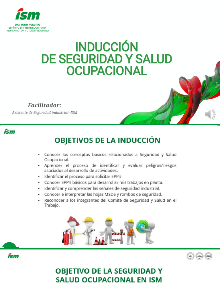 INDUCCION SSO-2022 | PDF | Seguridad y salud ocupacional | Valores