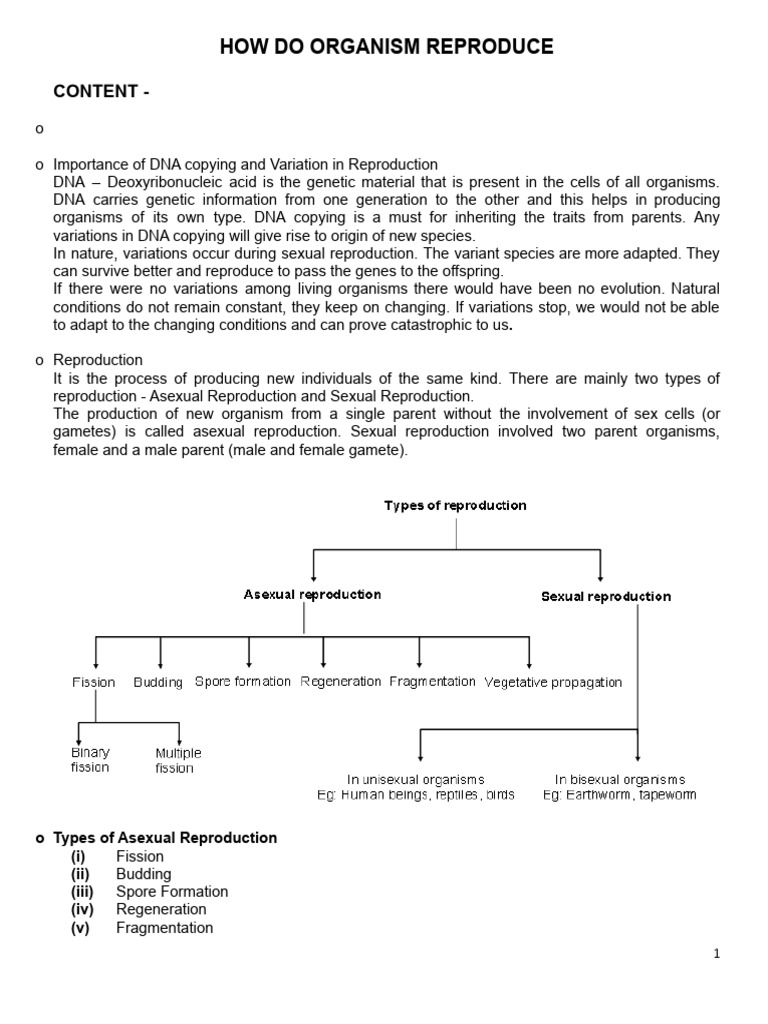 How Do Organisms Reproduce Notes | PDF | Reproduction | Flowers