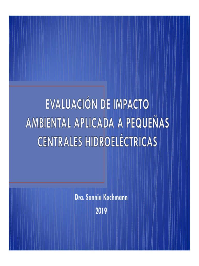 Eia PCH Fpuna | PDF | Evaluación de impacto ambiental | Entorno natural
