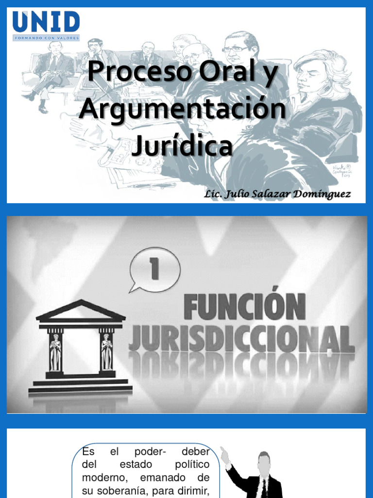FUNCION JURISDICCIONAL | PDF | Demanda judicial | Judicaturas