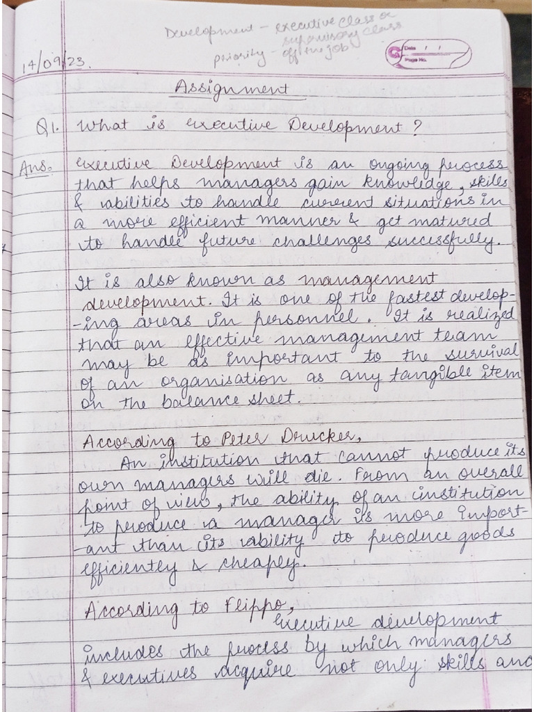 Executive Dev - Unit 2 | PDF