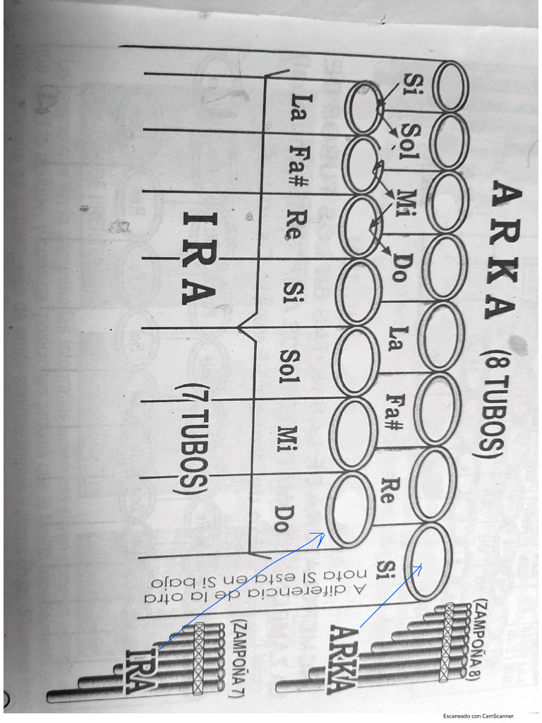 Nomenclatura de La Zampo A | PDF
