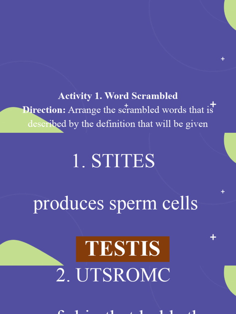 Female Reproductive System Quiz | PDF | Wellness | Self-Improvement