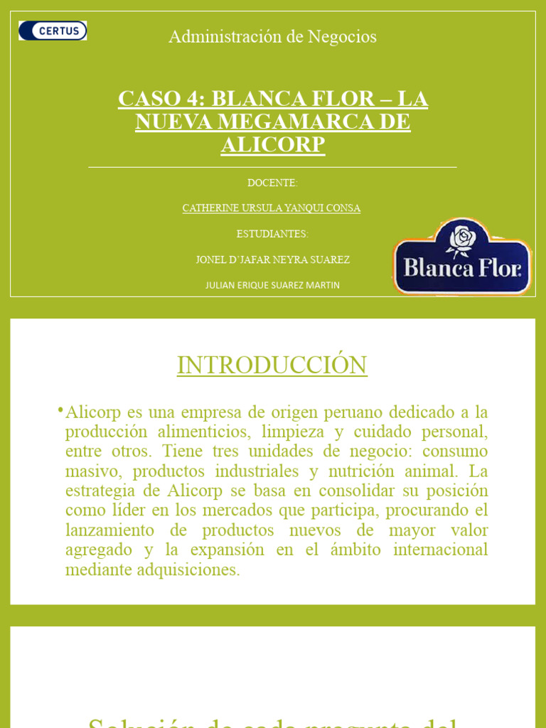 CASO 4 - Blanca Flor - Jonel Neyra | PDF | Marketing | Business
