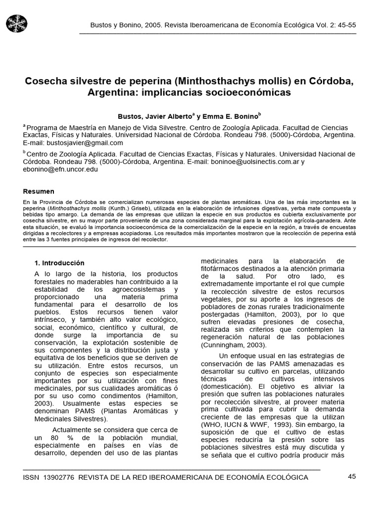 Cosecha de peperina en Córdoba: impacto socioeconómico | PDF | Agricultura