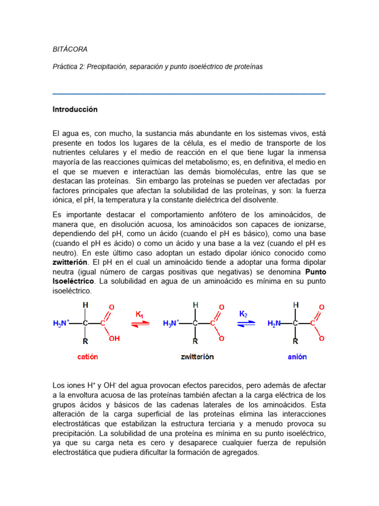 Bitácora P.2 - BIOQUÍMICA | PDF | Polaridad química | Aminoácidos