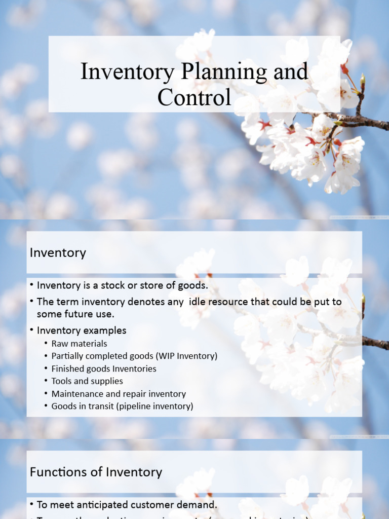 Inventory Planning and Control Guide | PDF | Inventory | Economies