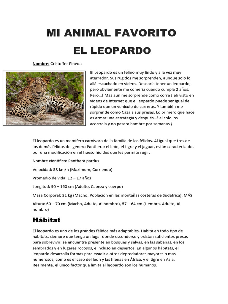 Mi Animal Favorito | PDF | Leopardo | Zoología
